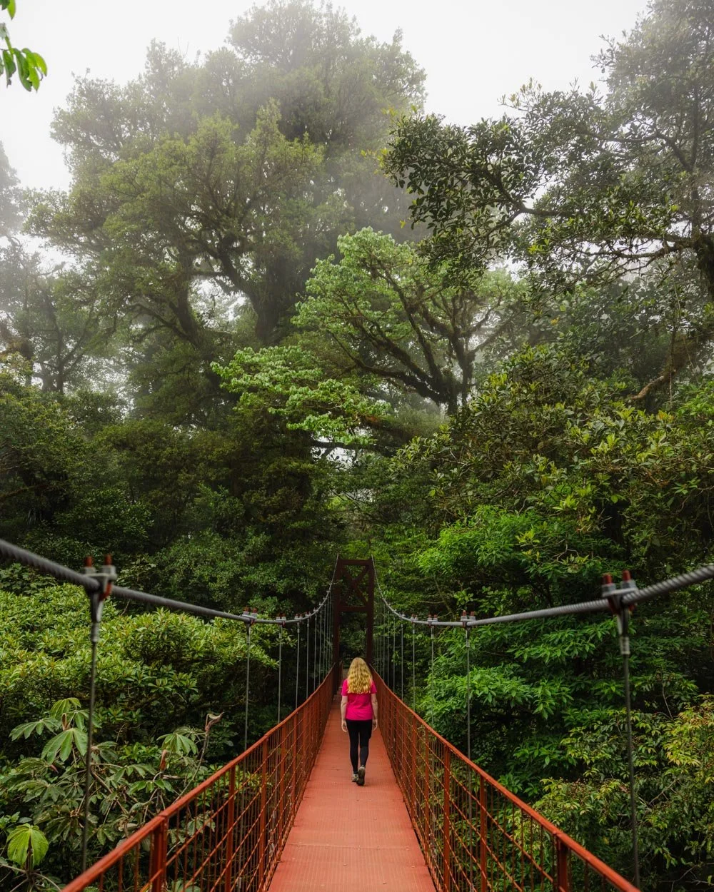 Monteverde Cloud Forest: 11 things to know before you visit — Walk My World