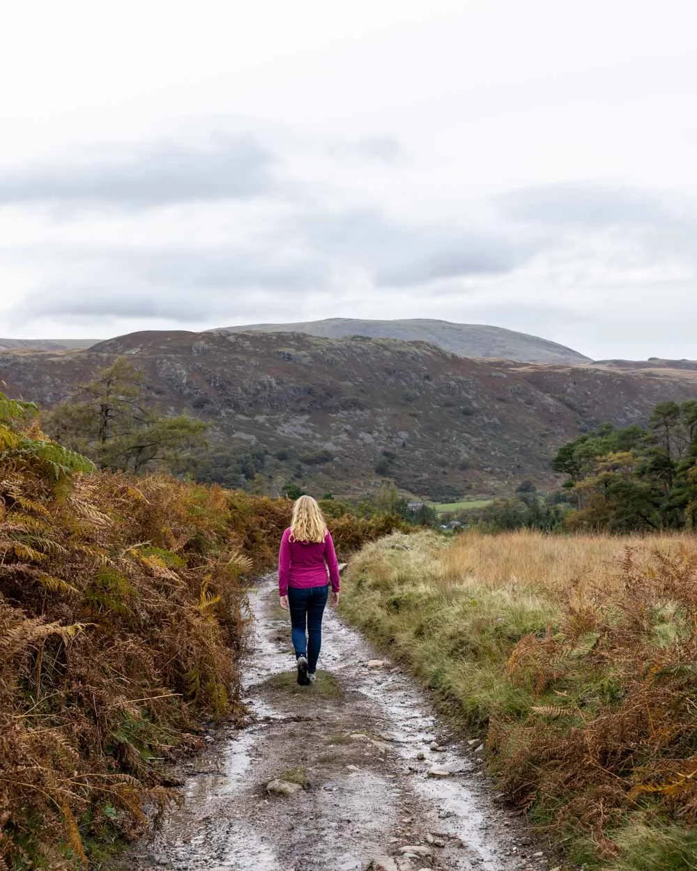 15 Easy Walks in the Lake District, England — Walk My World