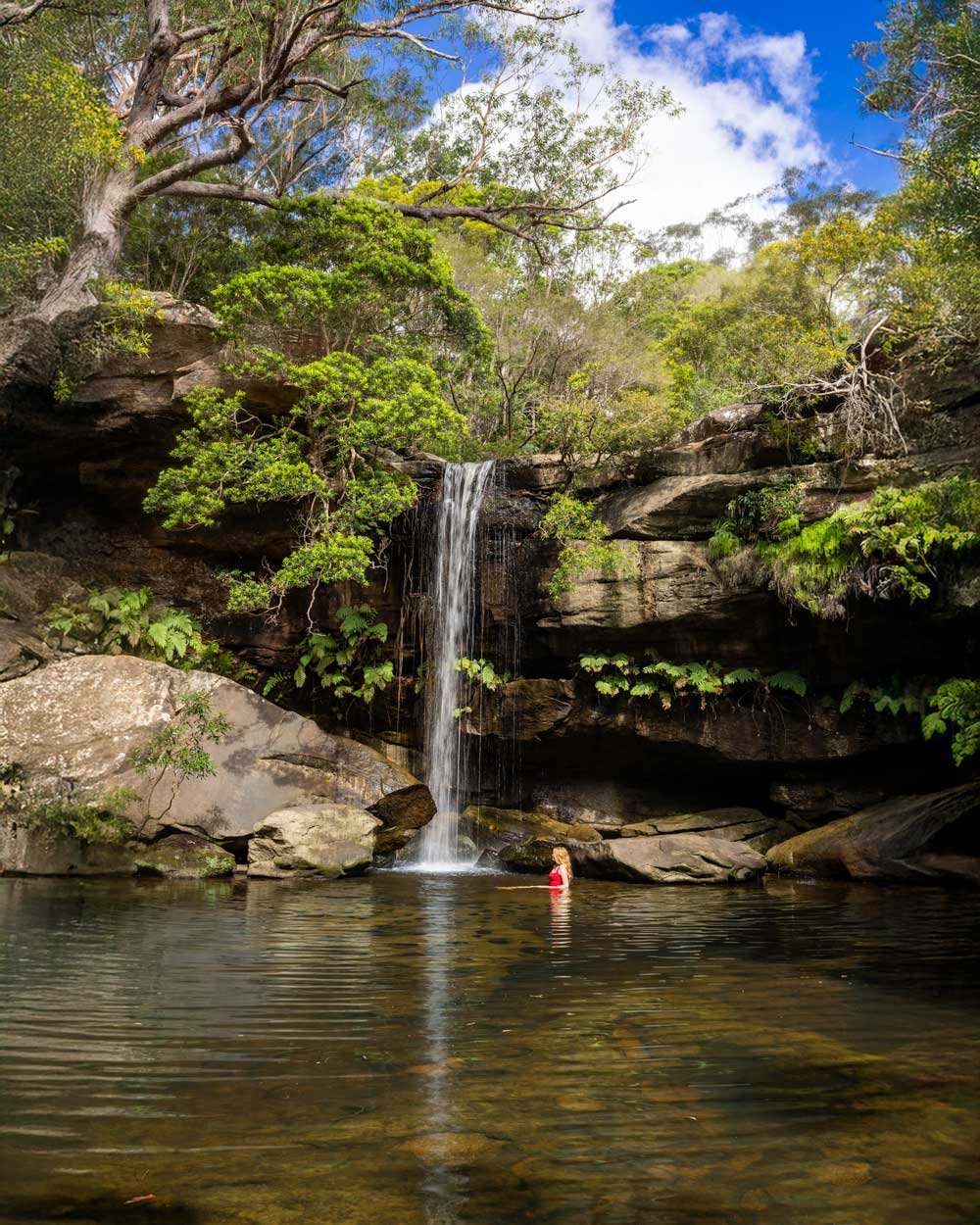 Girrakool Falls: a gorgeous waterfall and plunge pool on the Central ...