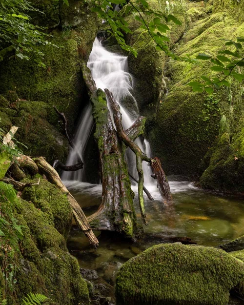 Stock Ghyll Force: Ambleside's beautiful ravine waterfall — Walk My World