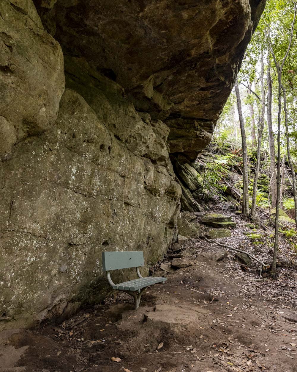 Bomaderry Creek: overhangs, mossy gullies and wild swimming in Nowra ...