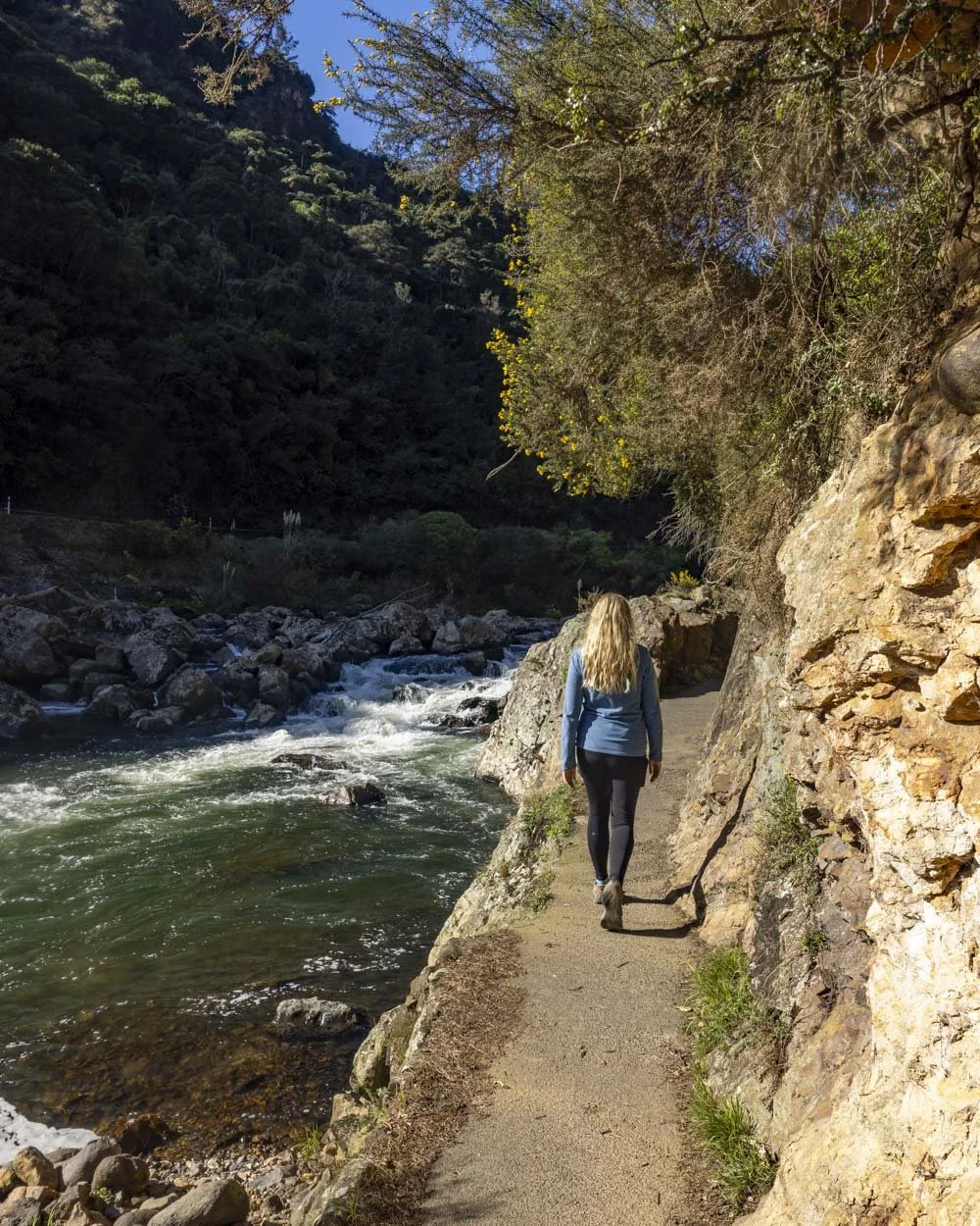 Karangahake Gorge Historic Walkway: the best bits and what to skip ...