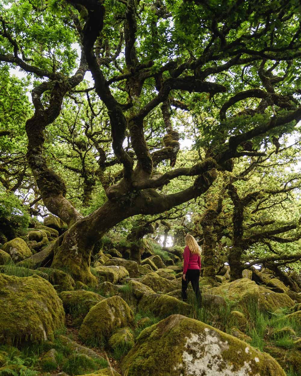 20 incredible things to do in Dartmoor including hidden gems — Walk My ...