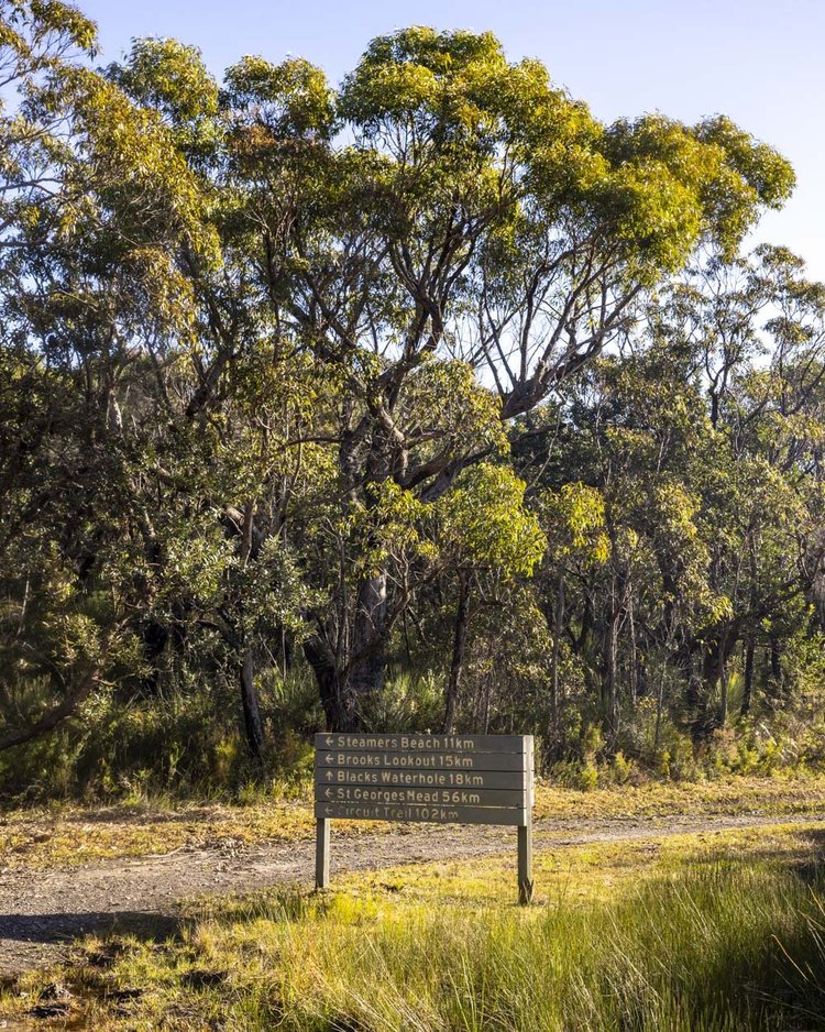 Steamers Beach: a wild & secluded beach in Jervis Bay — Walk My World