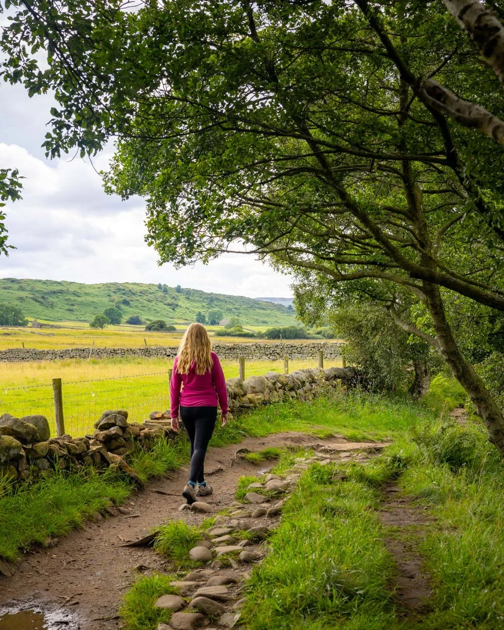 How to visit High Force Waterfall for free — Walk My World