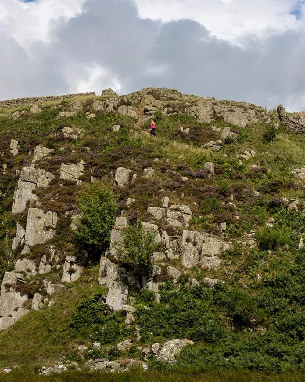 Sycamore Gap: Things to know before visiting & the shortest walk to get ...