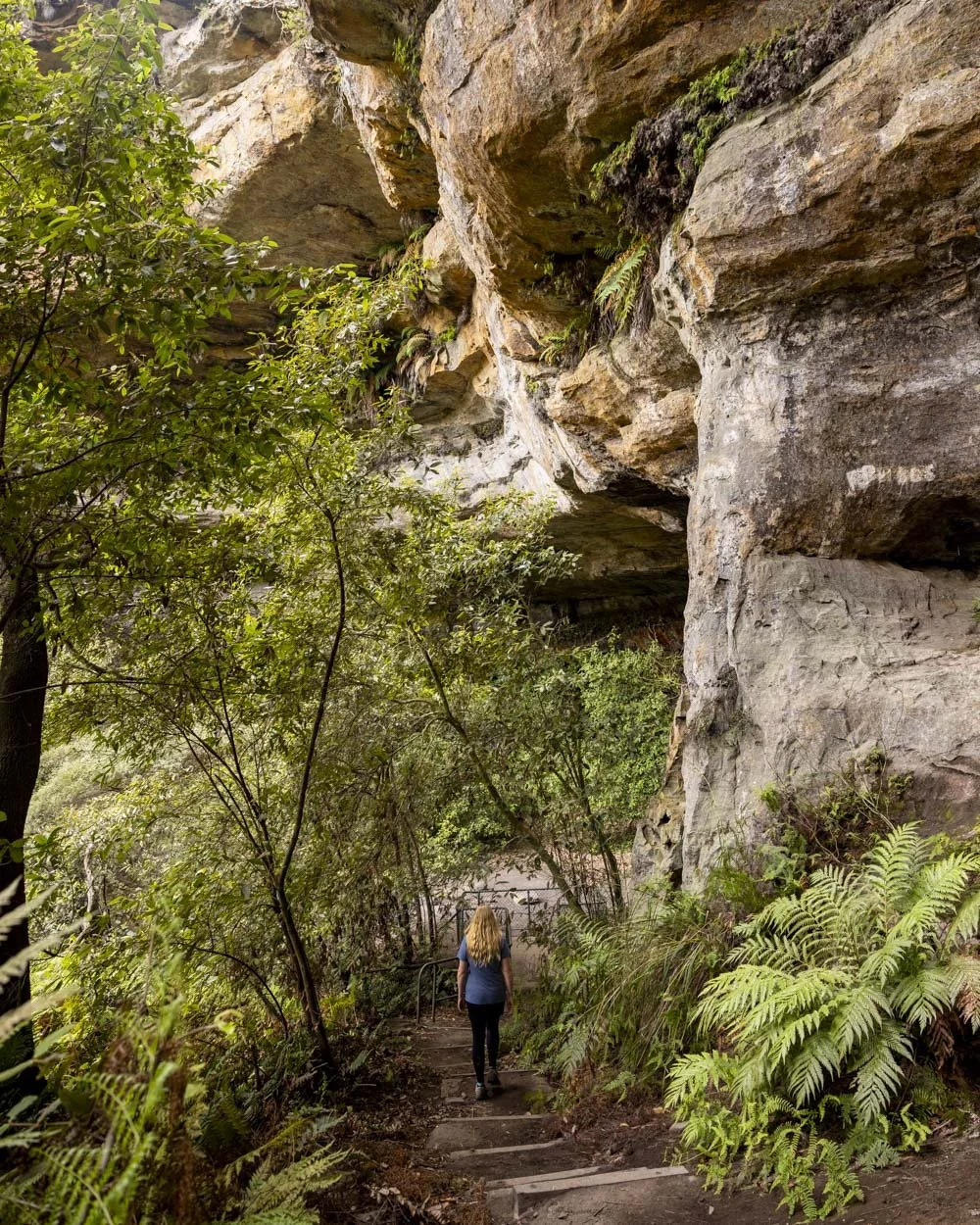 Walls Cave: an easy cave and canyon walk in Blackheath — Walk My World