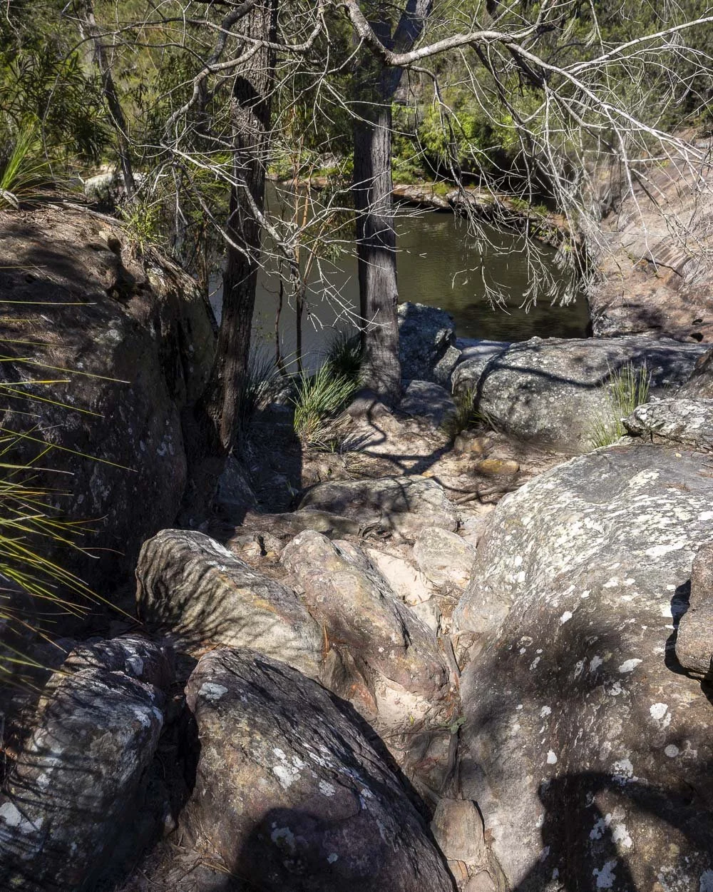 Wild swimming at Minerva Pool: one of Sydney's best waterholes — Walk ...