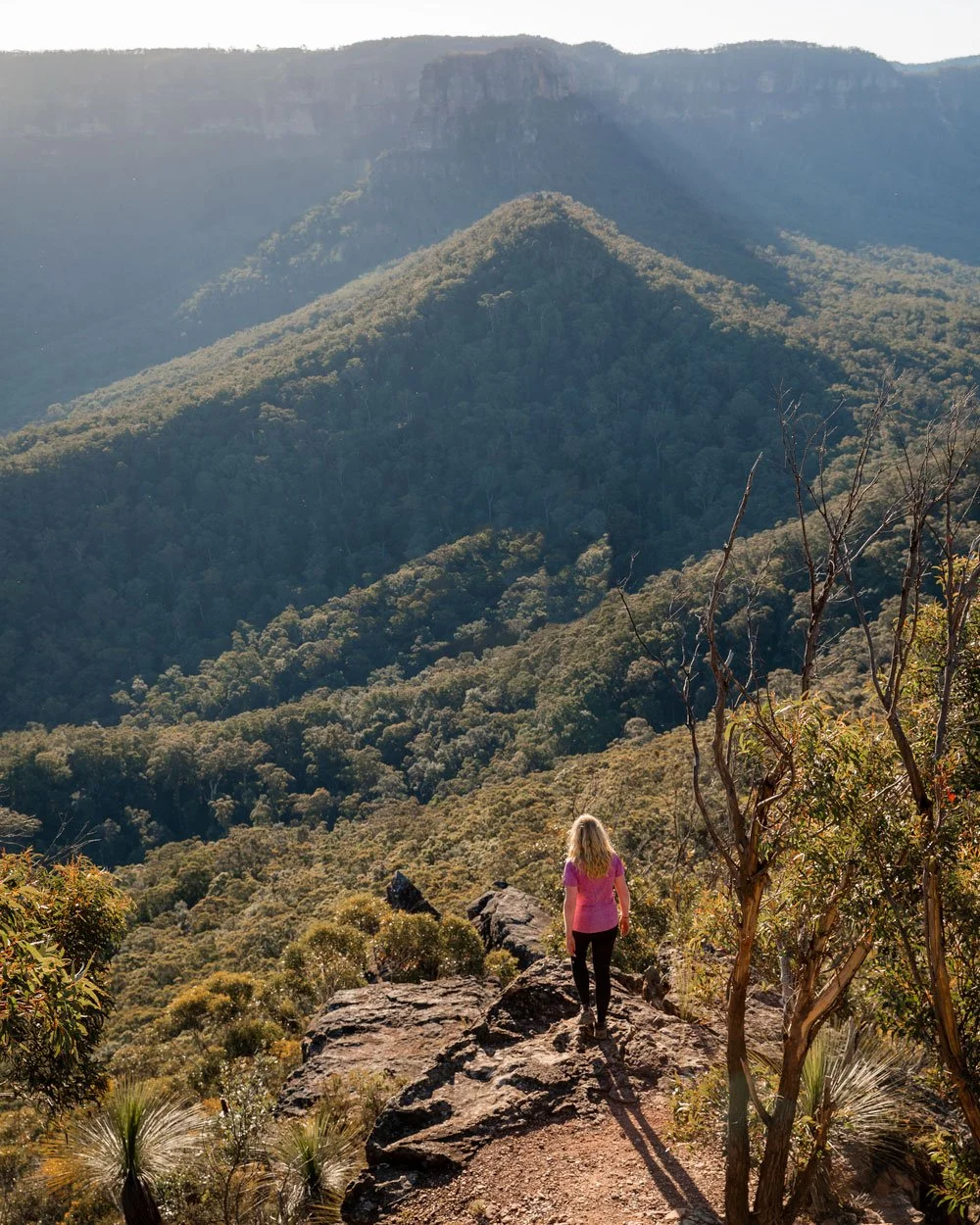The 22 Best Blue Mountains Walks (easy - hard, by area) — Walk My World