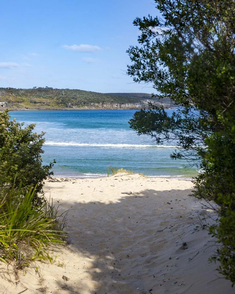 Honeymoon Bay and Target Beach: some of the best beaches in Jervis Bay ...