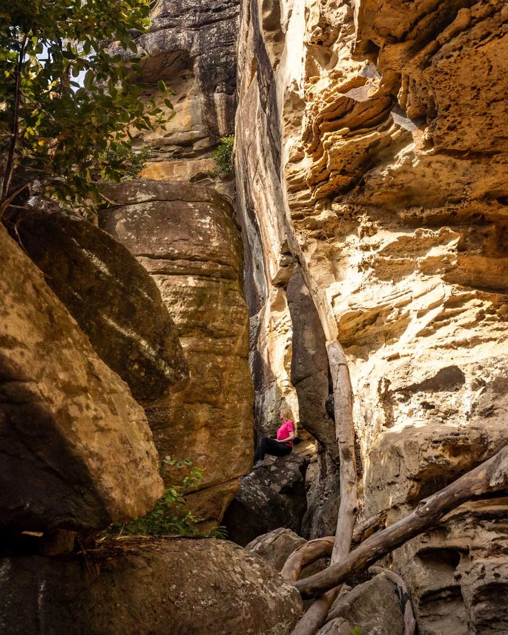 How to find the Bugong secret grotto near Nowra — Walk My World