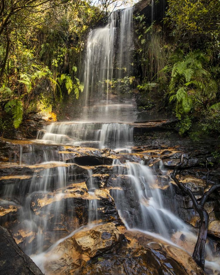 The Transit of Venus: three pretty waterfalls on one trail — Walk My World