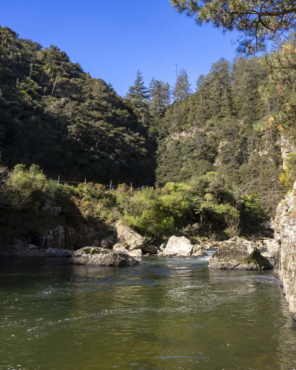 Karangahake Gorge Historic Walkway: the best bits and what to skip ...