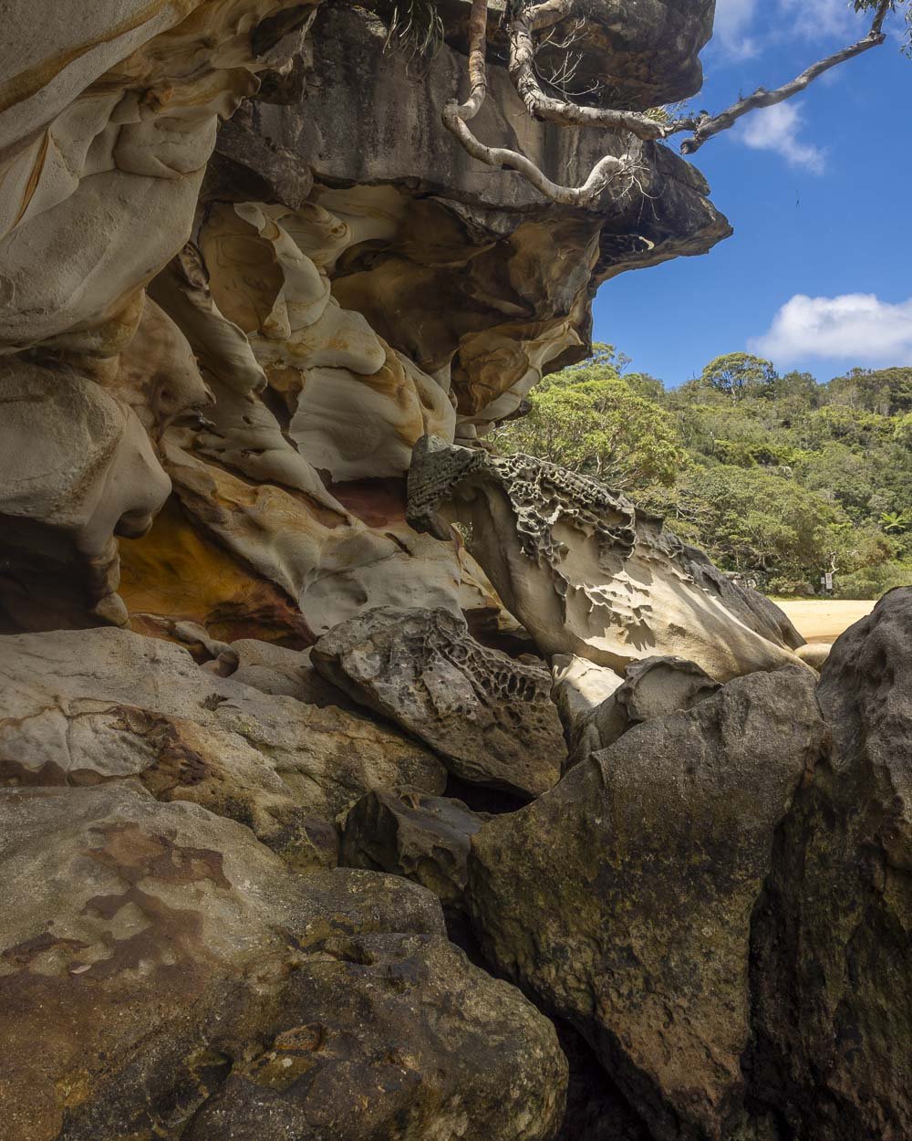 Store Beach: how to reach the most beautiful beach in Manly without a ...
