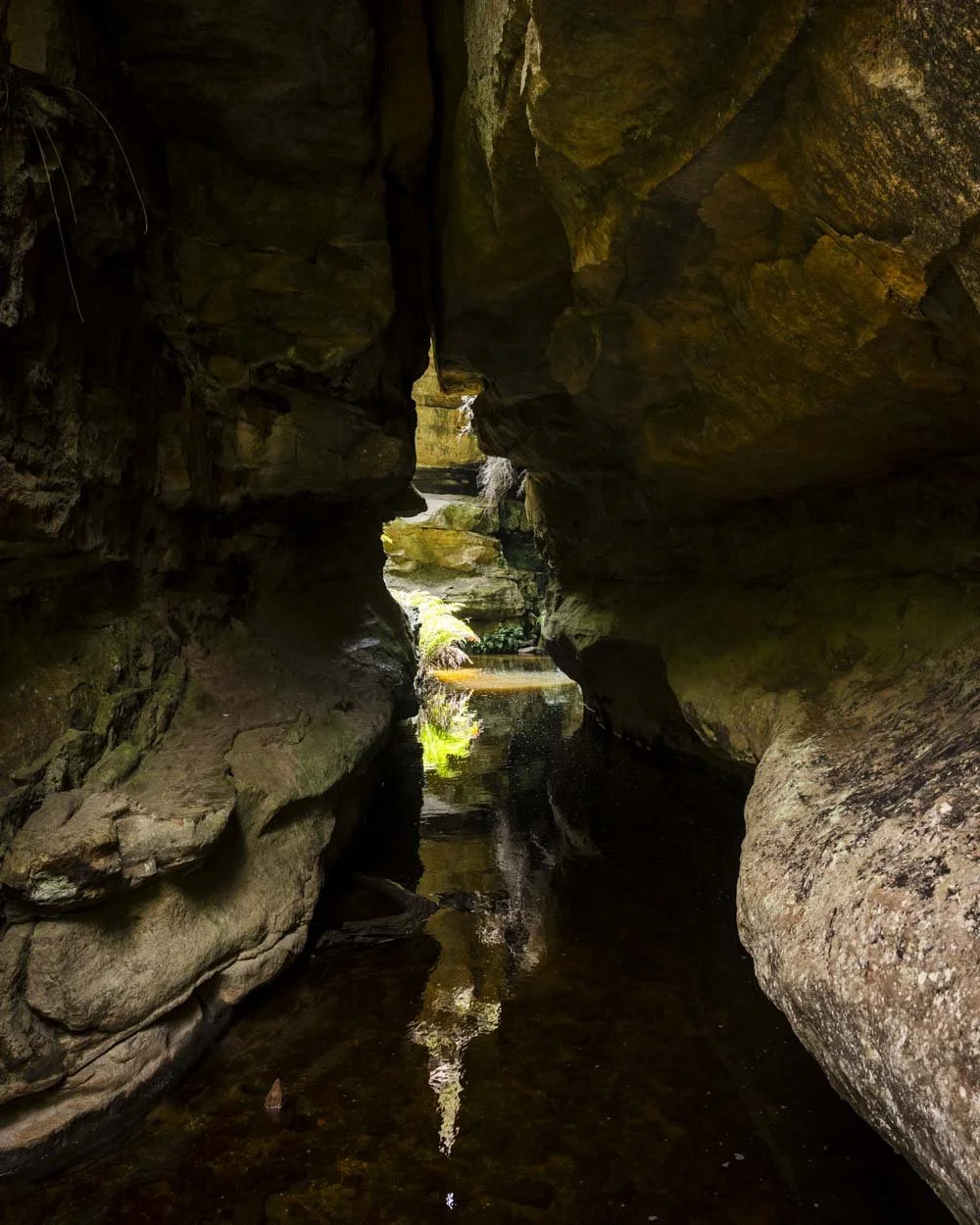 Walls Cave: an easy cave and canyon walk in Blackheath — Walk My World