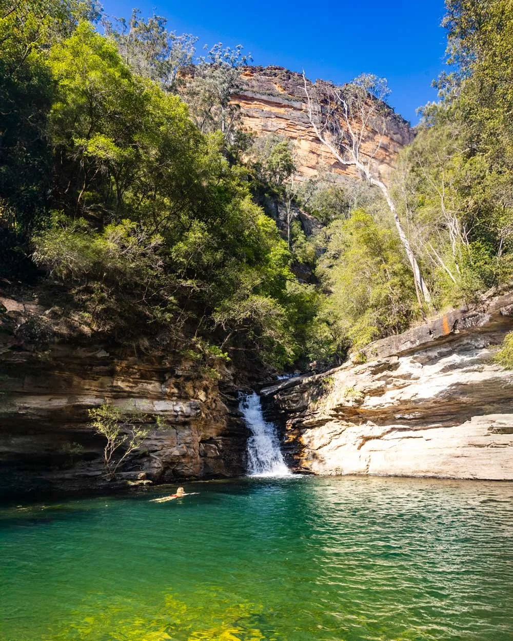 Edenderry Falls: wild swimming paradise in the Blue Mountains — Walk My ...