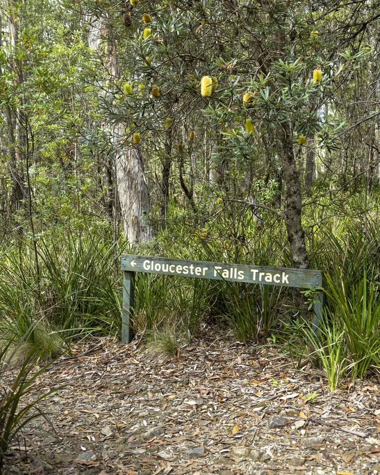 Wild swimming at the gorgeous Gloucester Falls in Barrington Tops ...