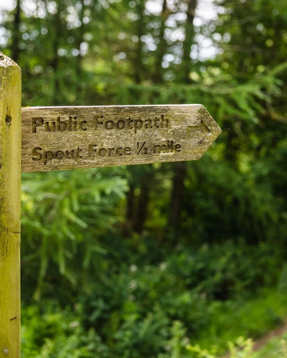 Spout Force: the Lake District's hidden gorge waterfall — Walk My World