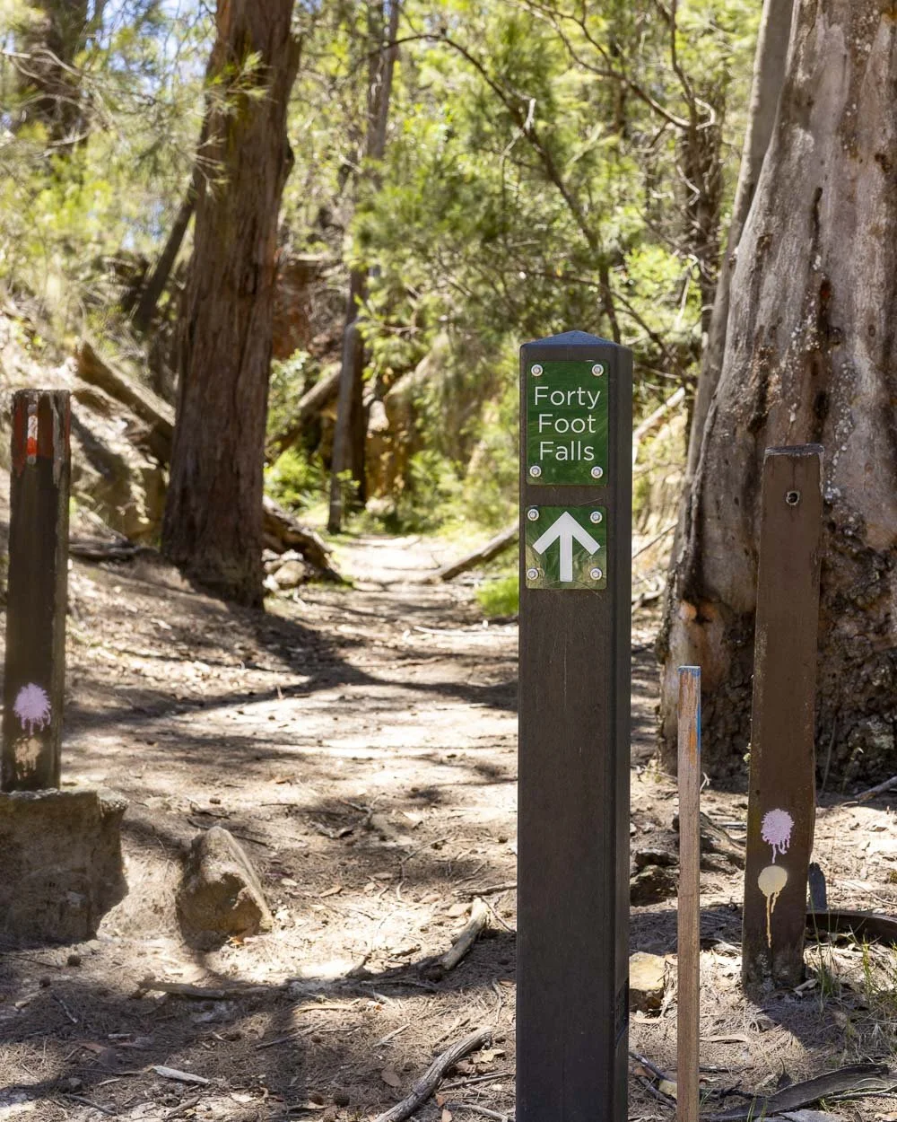 A wild walk into the spectacular Nattai Gorge via the Incline — Walk My ...