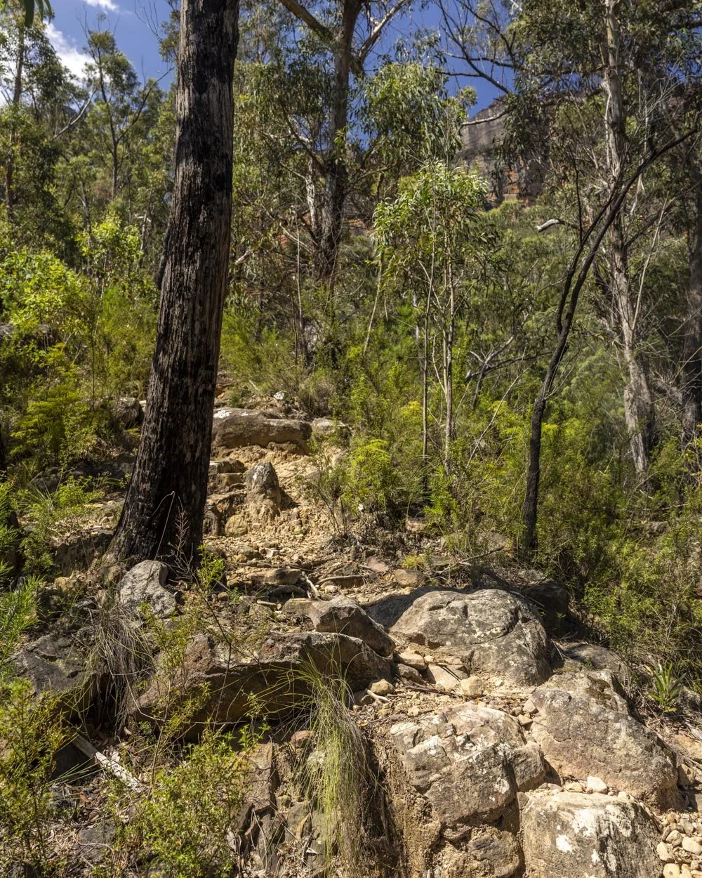 The magical swimming holes of Pierces Pass — Walk My World