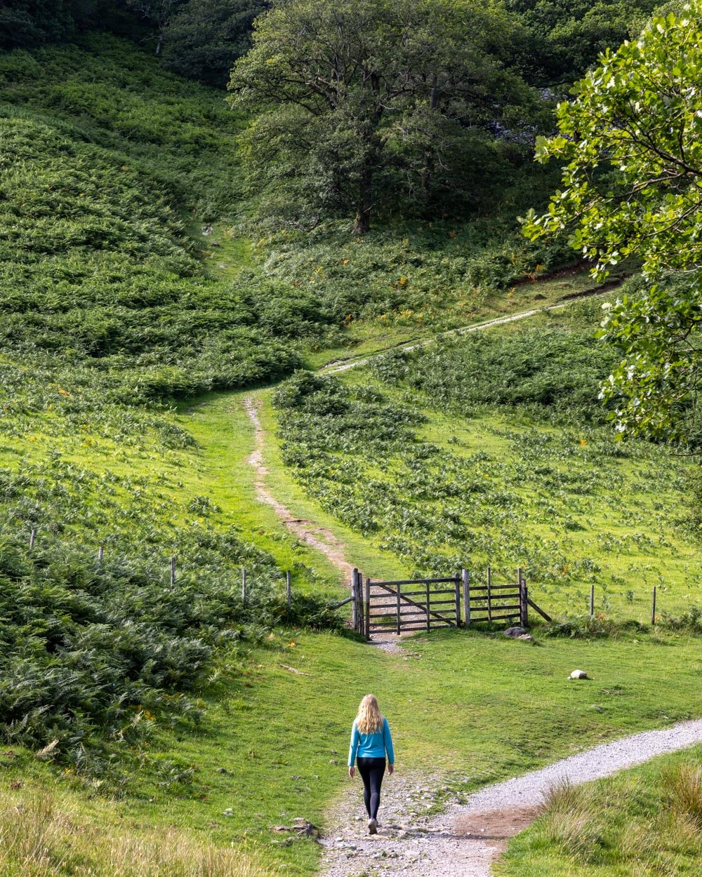 The Castle Crag loop walk including how to find the hidden cave — Walk ...
