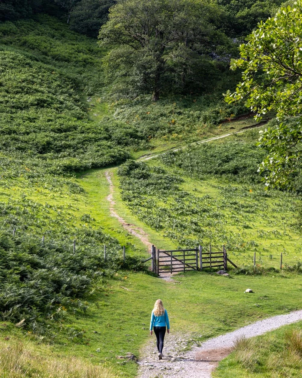 The Castle Crag loop walk including how to find the hidden cave — Walk ...