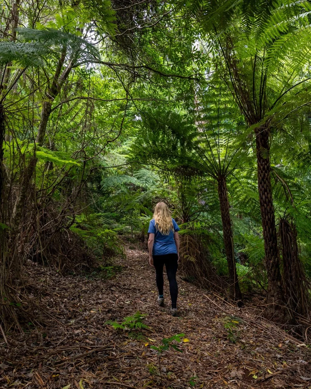 How to find Berry's secret waterfall — Walk My World