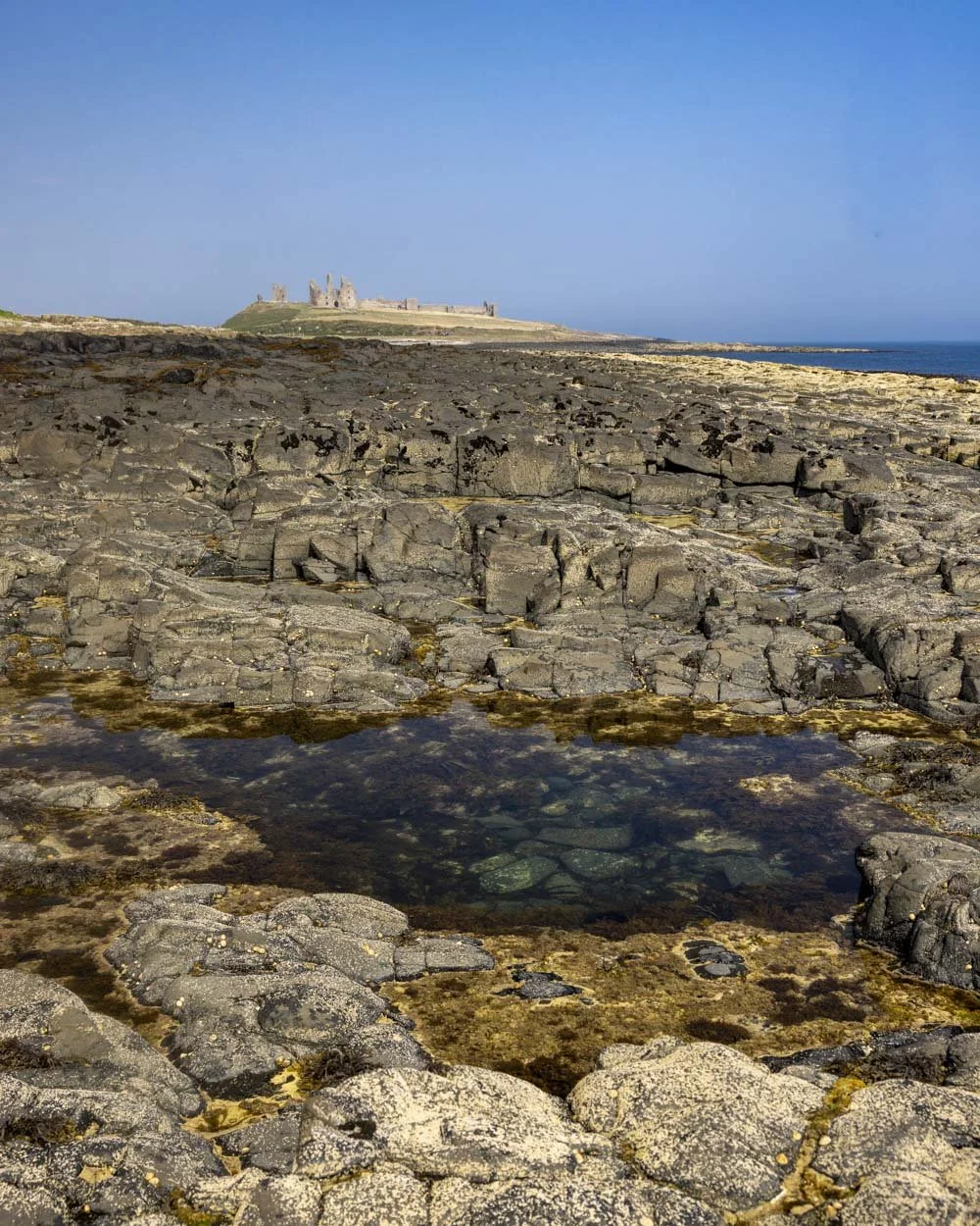 How to find the Devil's Punchbowl: Craster's hidden tidal pool — Walk ...