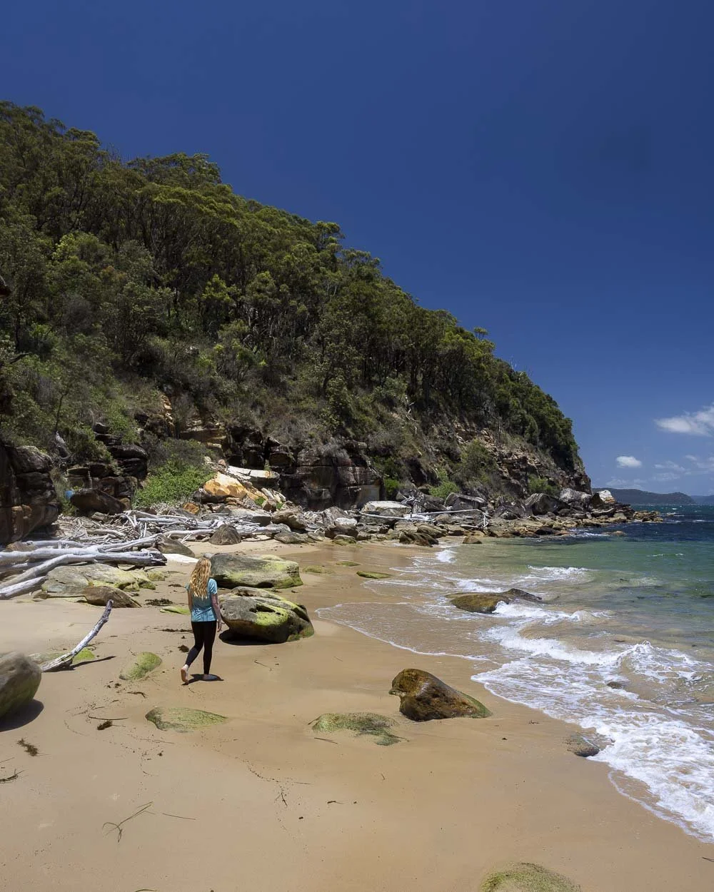 Iron Ladder Beach: is this the Central Coast's most adventurous beach ...