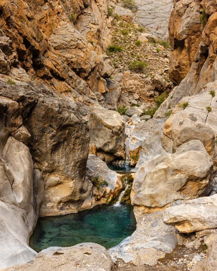 An exciting Nizwa itinerary: secret wadi pools, forts and a night time ...