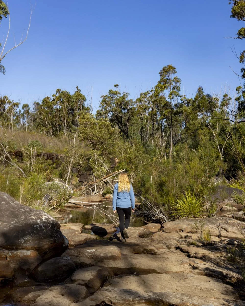 Berrara Waterholes: two stunning quiet swimming holes near Jervis Bay ...