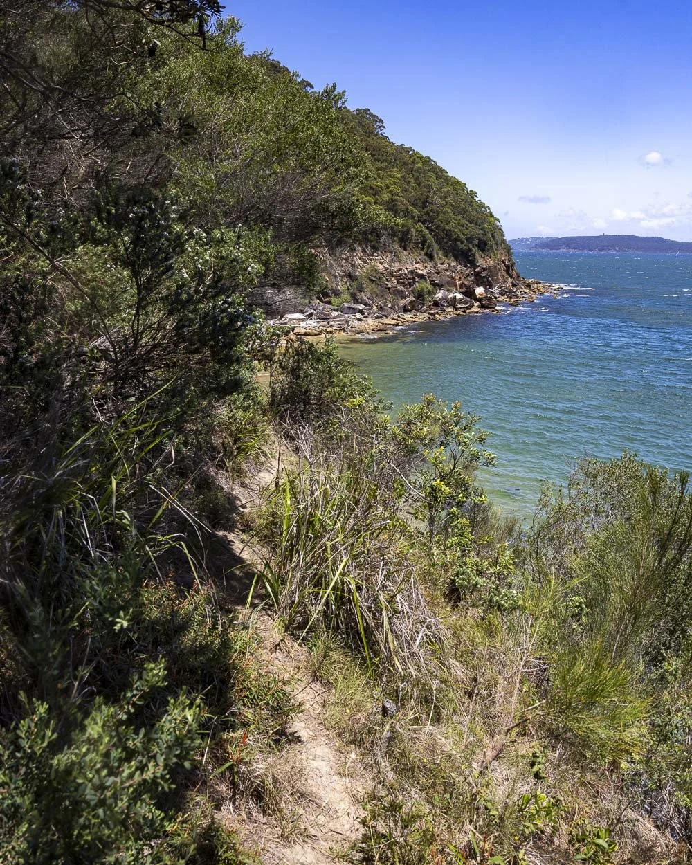 Iron Ladder Beach: is this the Central Coast's most adventurous beach ...