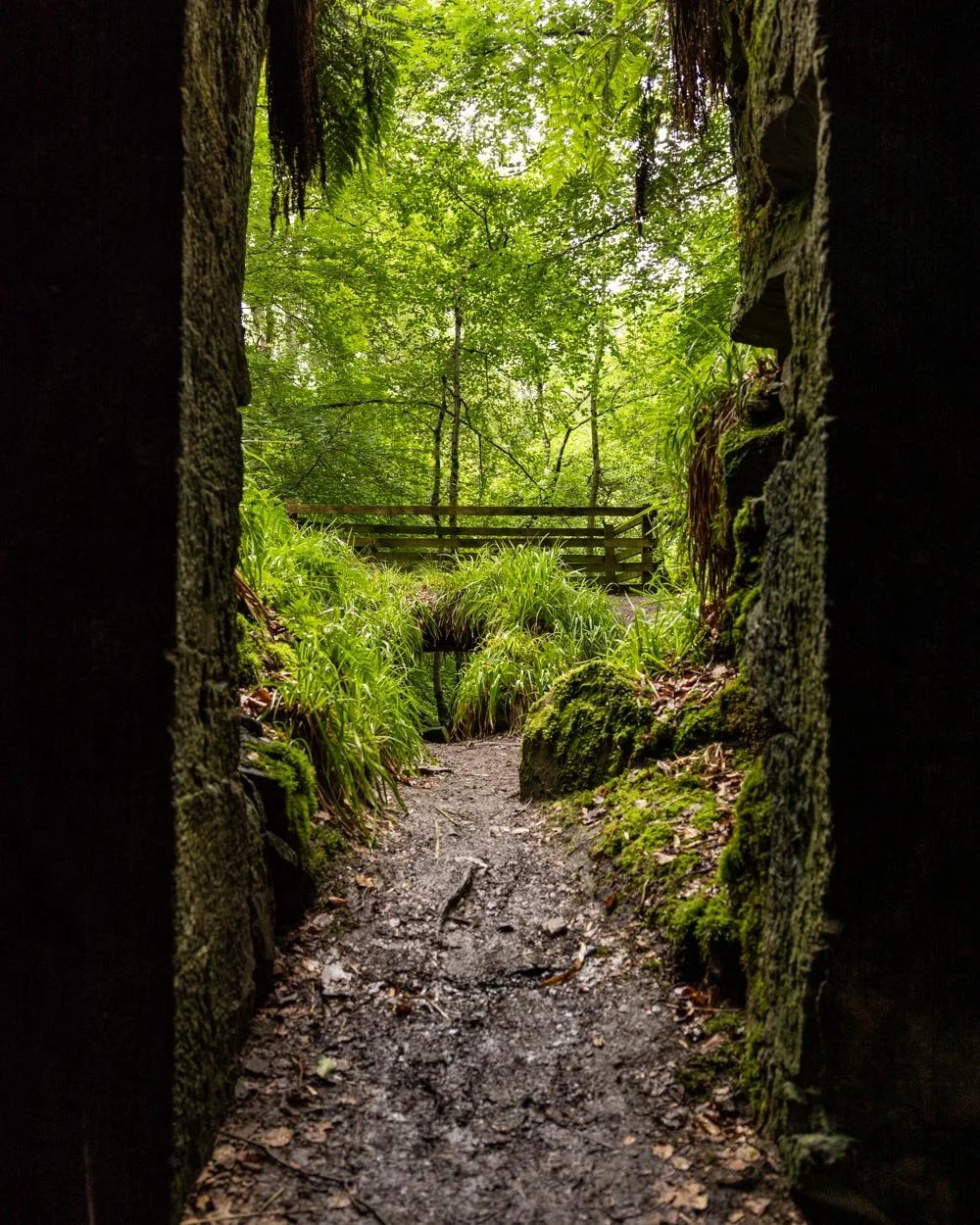 Hartburn Grotto: Northumberland's secret Hobbit Hole — Walk My World