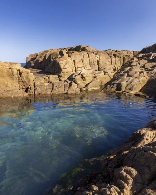 Boat Harbour Rockpool: a stunning blue rockpool in the heart of Port ...