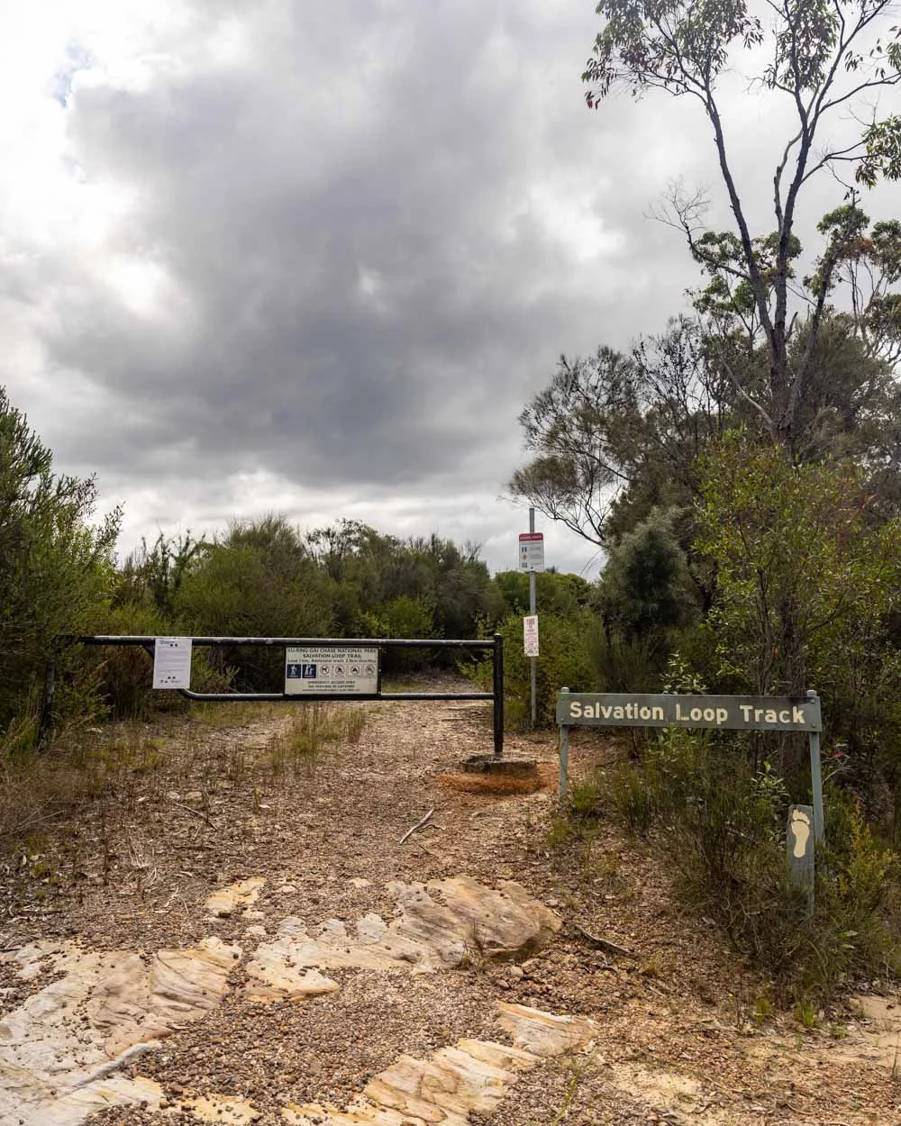 Refuge Bay: an amazing beach waterfall and secret infinity pool — Walk ...