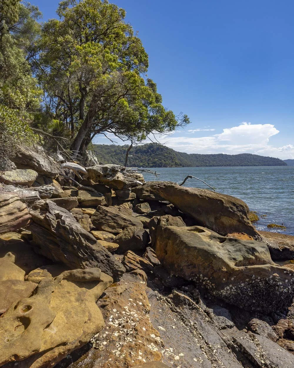 Flint and Steel Beach and beyond: the best wild swimming beaches in Ku ...