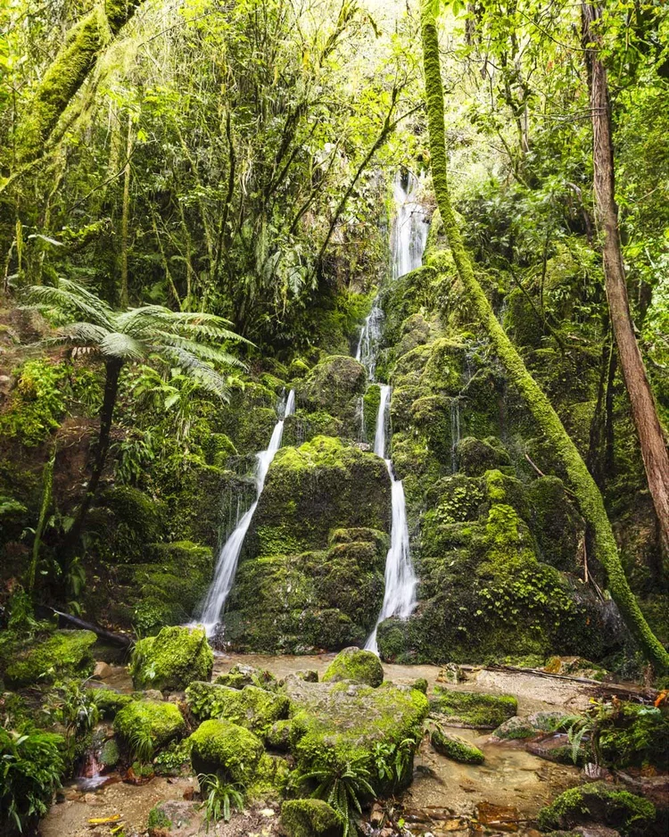 Cascade Falls: Rotorua's secret glow worm waterfall — Walk My World