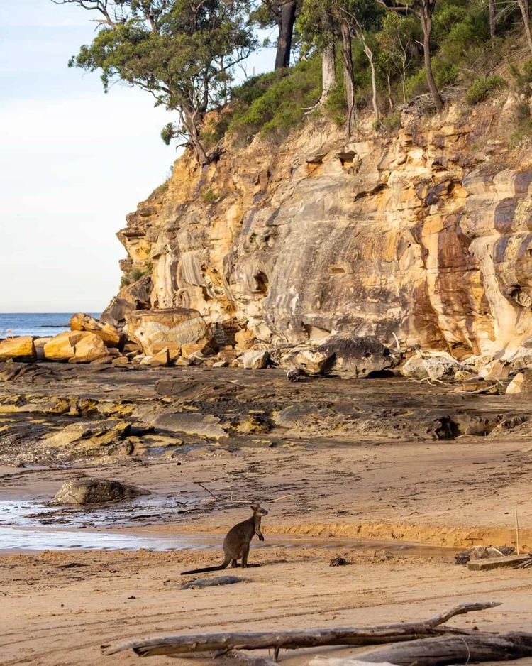 Flint and Steel Beach and beyond: the best wild swimming beaches in Ku ...