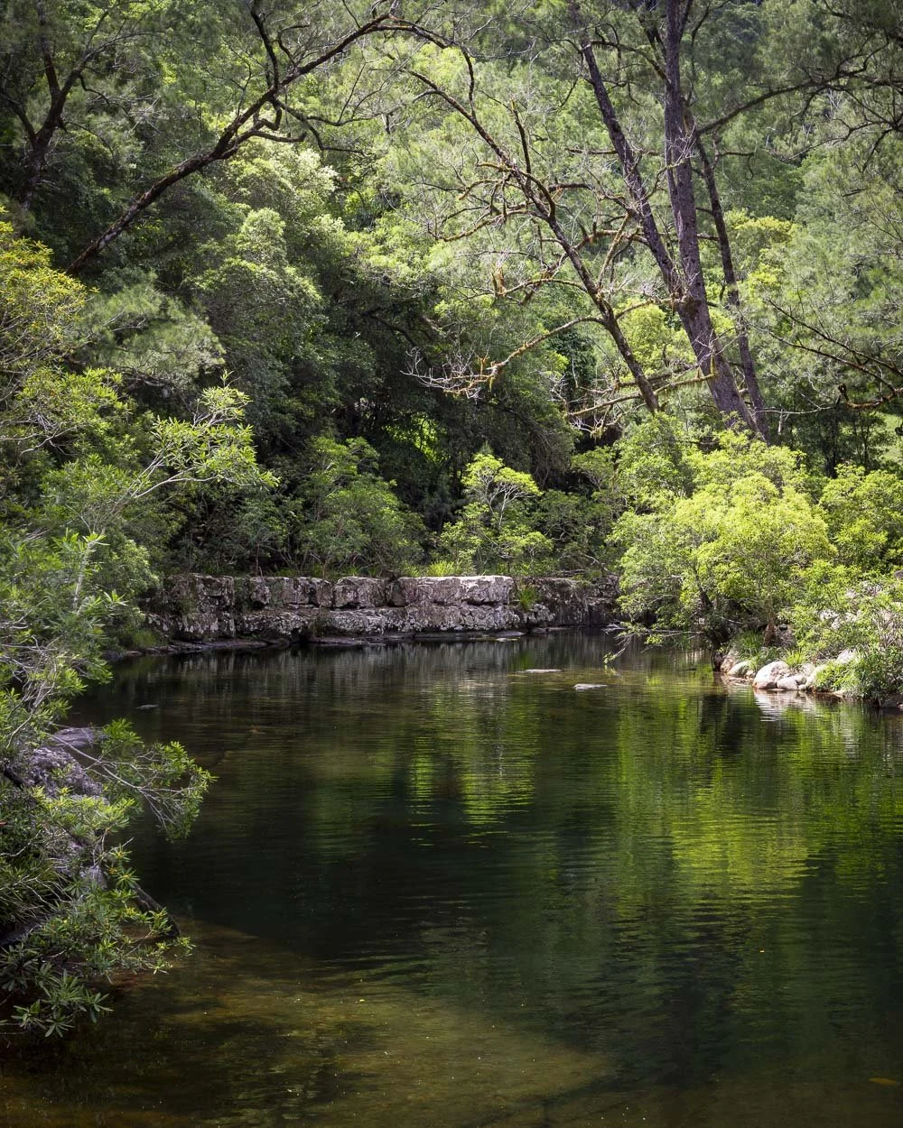 Lone Palm Pool: is this Kangaroo Valley's best hidden swimming spot ...