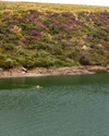 9 incredible wild swimming spots in Dartmoor — Walk My World