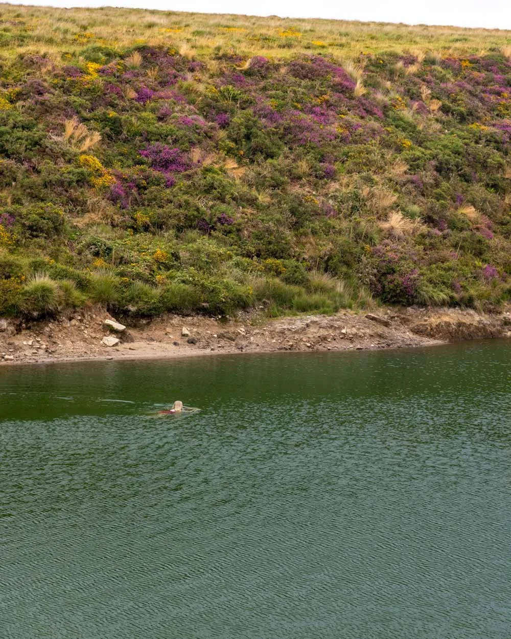 9 incredible wild swimming spots in Dartmoor — Walk My World
