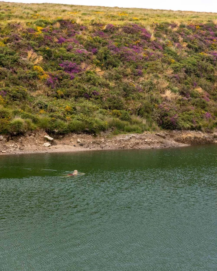 9 incredible wild swimming spots in Dartmoor — Walk My World