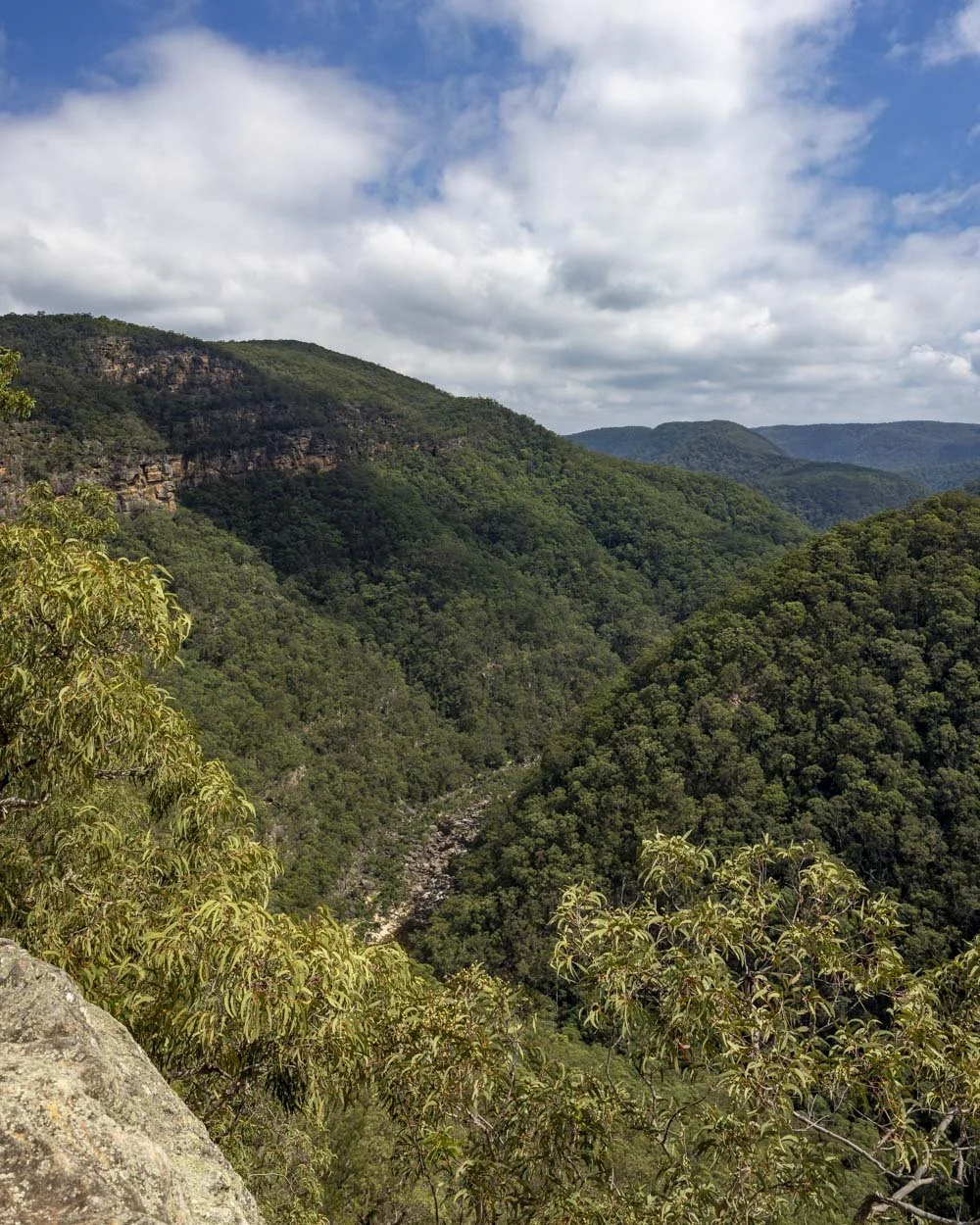 The spectacular Vale of Avoca Track: remote beaches and crystal clear ...