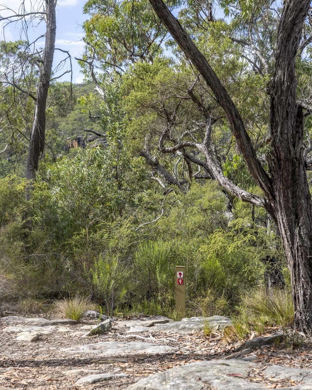 Turners Fire Trail Circuit: a fun walk with via ferrata style rungs ...