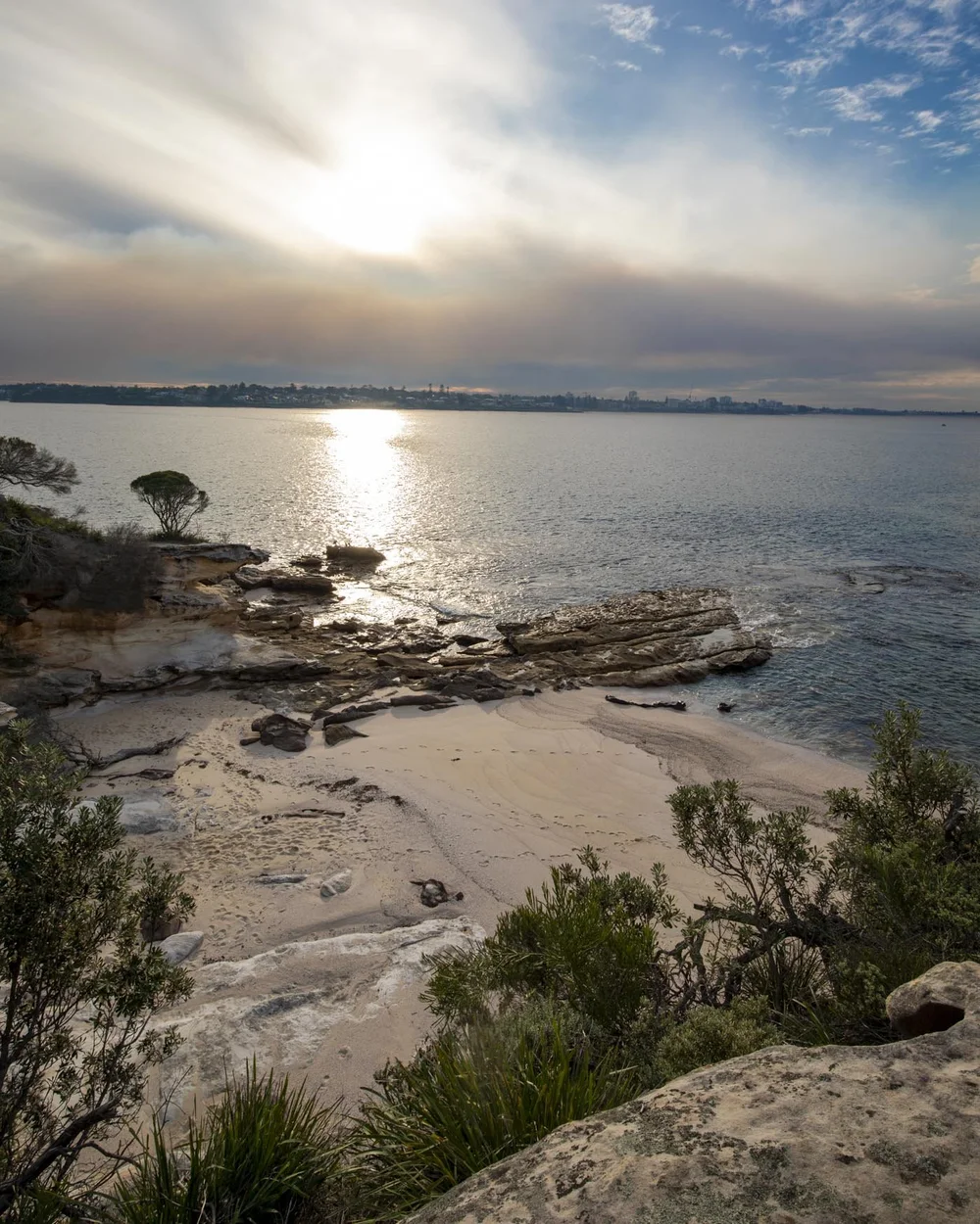 Jibbon Beach Loop Track: an easy but breathtaking walk in Royal ...