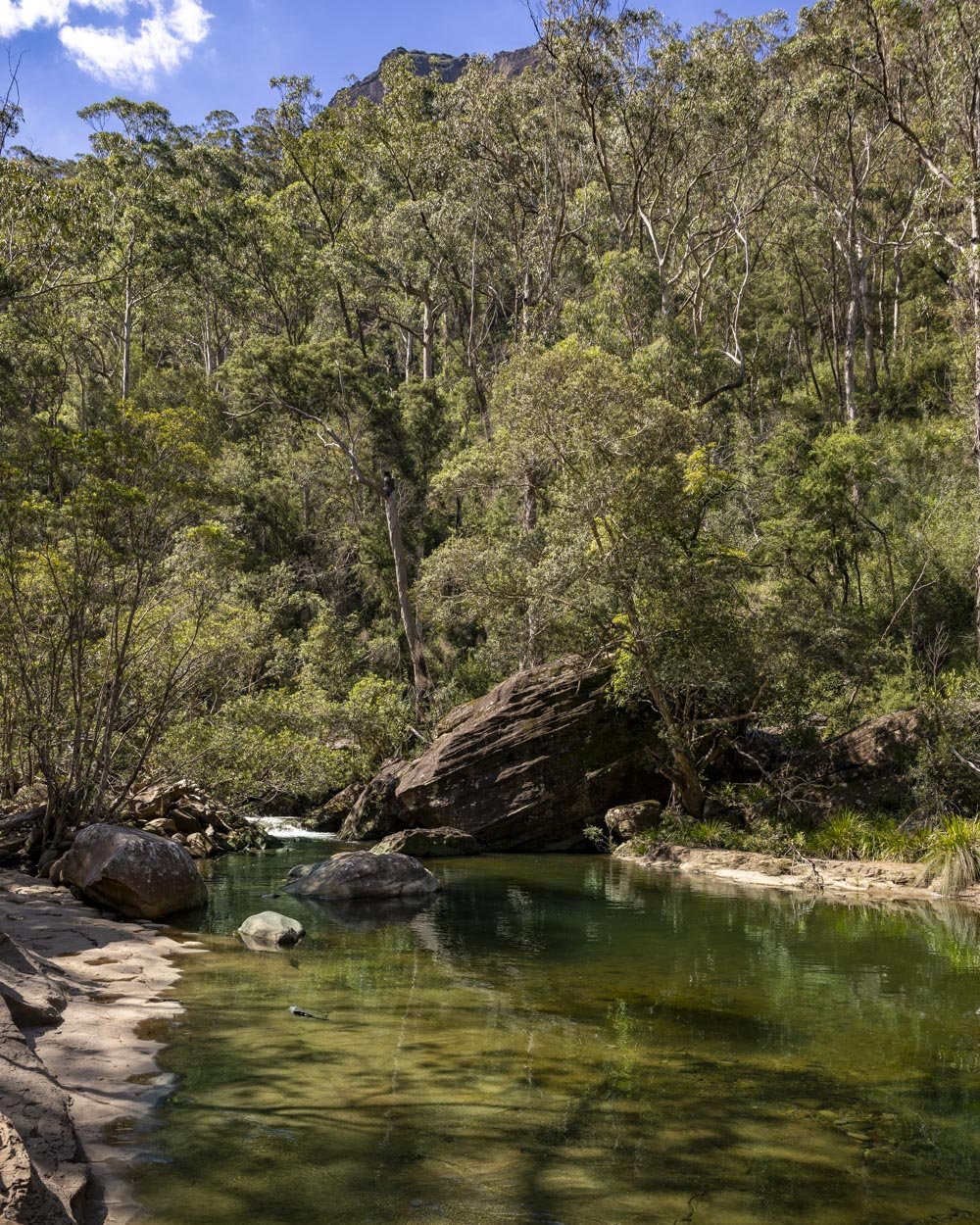 19 Truly Incredible Blue Mountains Wild Swimming Holes — Walk My World