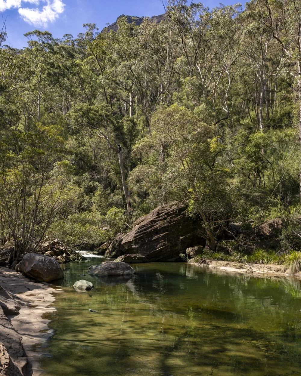 19 Truly Incredible Blue Mountains Wild Swimming Holes — Walk My World