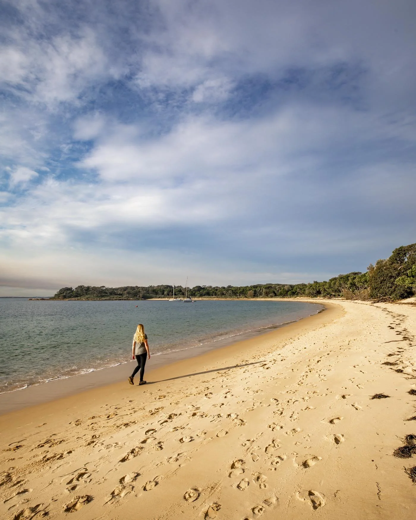 Jibbon Beach Loop Track: an easy but breathtaking walk in Royal ...