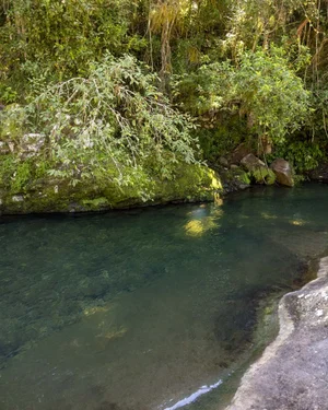 Tips for visiting the spectacular Ladies Well swimming holes — Walk My ...