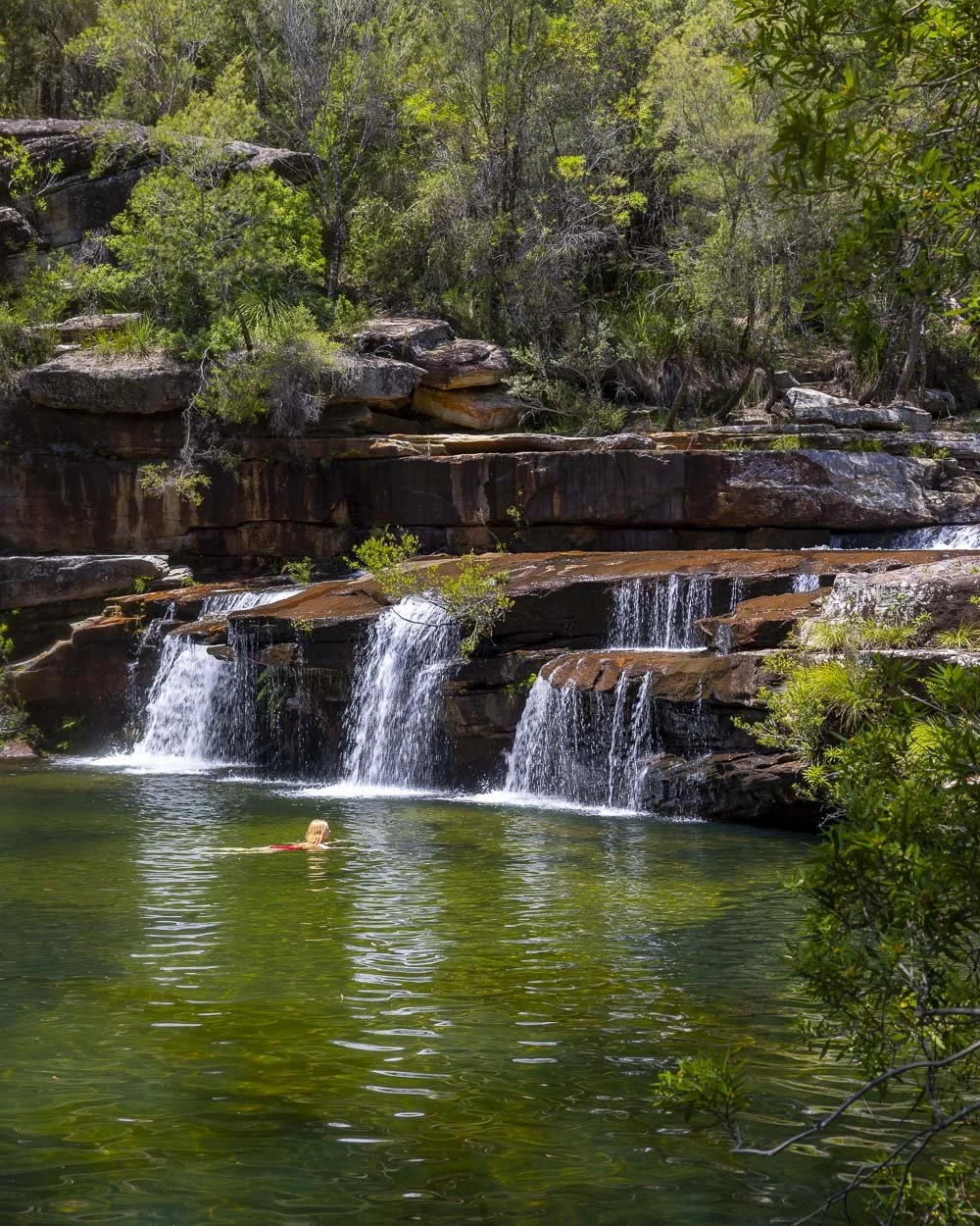 Winifred Falls: a spectacular waterfall you can swim under — Walk My World